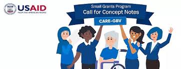 Collective Action to Reduce Gender-Based Violence: Small grants program ...